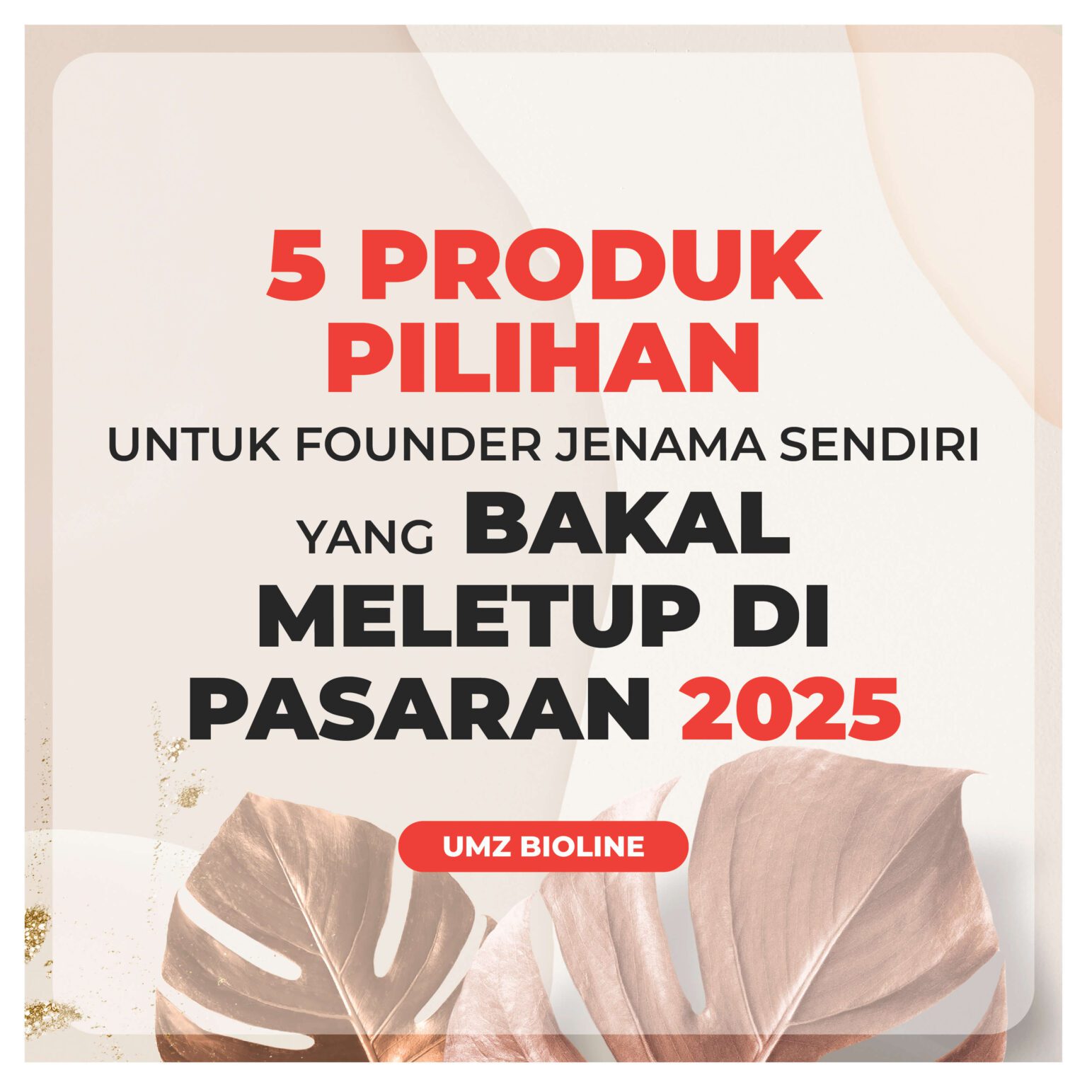 5 Produk Pilihan untuk Founder Jenama Sendiri